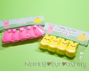 Hoppy Easter – Peep Treats | Nothing But Country
