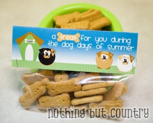 Dog Days of Summer Treat {Freebie} | Nothing But Country