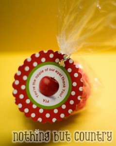 Apple of our eye – Teacher Appreciation 2011 | Nothing But Country